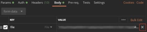 Request Body Panel Ui Bug Remove File Button Overlap · Issue 9328