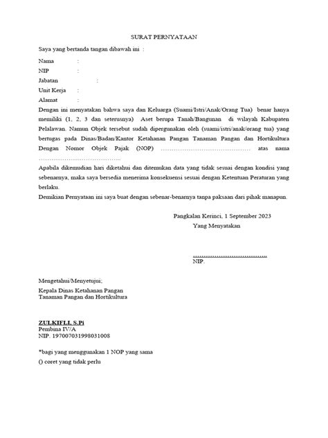 Surat Pernyataan 1 Aset Pdf