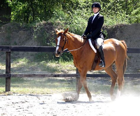 Michael Strahans Ex Wife Jean Muggli Strahan Bio Wiki