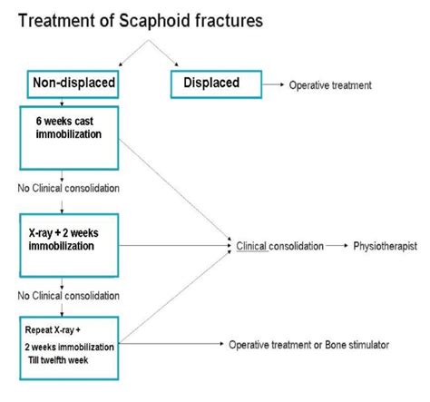 Scaphoid Fracture Classification