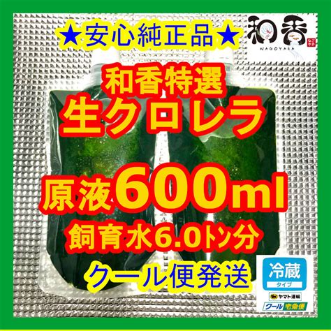 【未使用】クール便★和香特選生クロレラ600ml★即日発送★ミジンコめだか金魚らんちゅうの餌 針子稚魚の青水作 ワムシゾウリムシ生餌ミドリムシ
