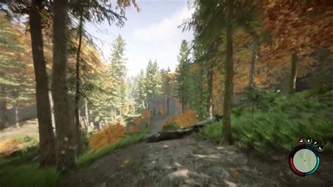 선즈오브더포레스트 산책 Asmr Youtube