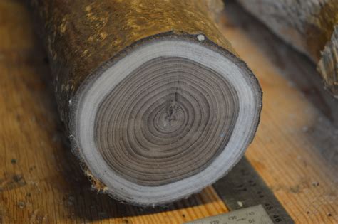 Wood Engraving Acw Woodcuts