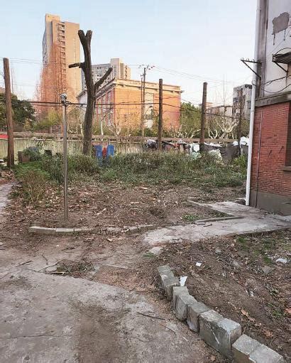 历史建筑旁大树光秃秃 电子报详情页