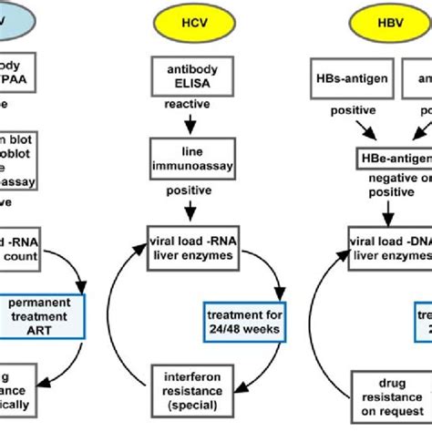 scheme of the algorithm of antibody antigen and viral nucleic acid