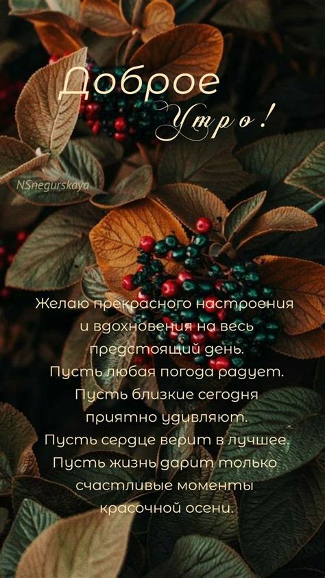 Доброе утро