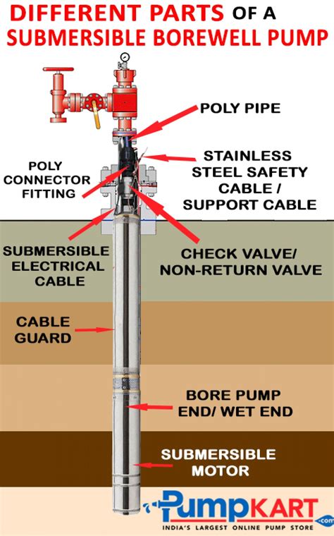 Different Parts Of Submersible Borewell Pump Infographic