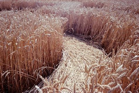 Je Kan Erin Zo Zou Ik De Beelden Van Fotograaf Elisabeth Tijssen