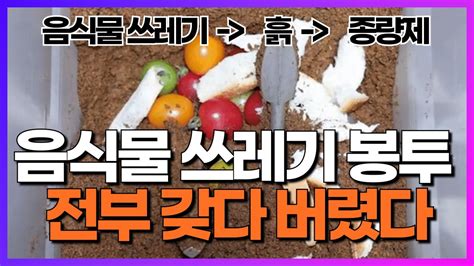 야무지게 일 잘하는 음식물 처리기 Best4 음식물 처리기 구매 가이드 완벽 정리 Youtube