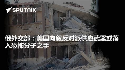 俄外交部：美国向叙反对派供应武器或落入恐怖分子之手 2016年10月27日 俄罗斯卫星通讯社