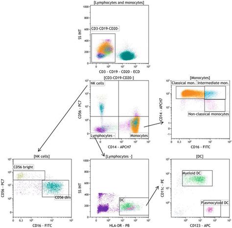 Flow Cytometry Applied To The Diagnosis Of Primary Immunodeficiencies
