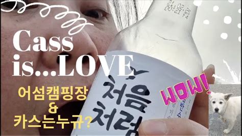 [어섬캠핑장]눈썹 문신 강아지 병아리 구출 대작전 Youtube