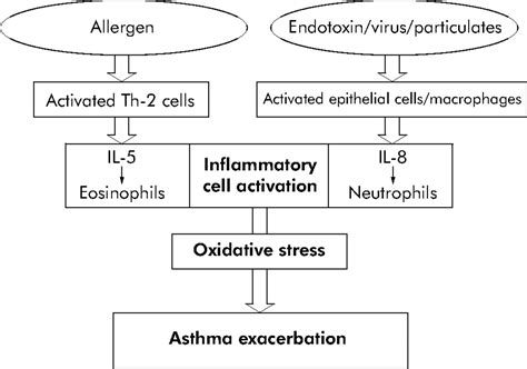 Asthma Exacerbations · 3 Pathogenesis Thorax