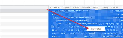 chorme复制cookie，请求报错：contains non iso 8859 1 characters value contains