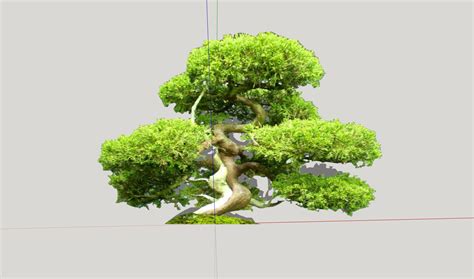 叶多枝干弯曲植物景观su模型 景观植物 土木在线