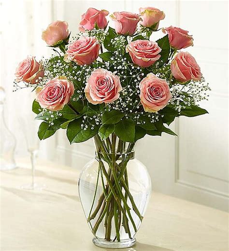 Rose Elegance Premium Long Stem Roses Pink Rutherford Nj Florist