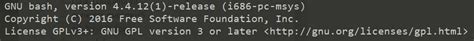 The Command Line Is Too Longwindows · Issue 147 · Lint Stagedlint