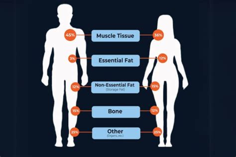 Body Composition Analysis Ultrex