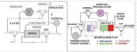 Difference Between Activated Sludge And Trickling Filter Relationship