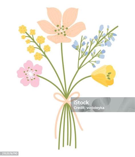 알스트로메리아 양귀비 꽃 허브가 있는 꽃다발 리본으로 묶인 꽃 무리 섬세한 꽃 와 야생 초원 식물 디자인 프로젝트 벡터 일러스트 레이 션 이케바나에 대한 스톡 벡터 아트 및