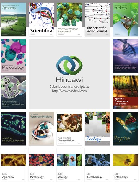 Figure 4 Surgical Management Of Penile And Preputial