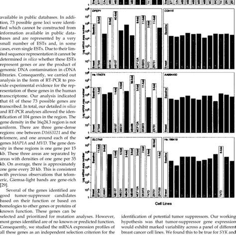 mrna expression profiling of genes mapping at 16q24 3 data are