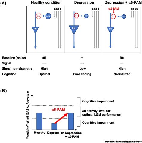 Gabaa Receptors As Targets For Treating Affective And Cognitive