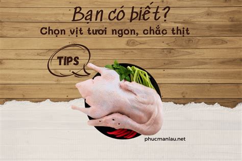 Cách Chọn Vịt Tươi Ngon Chắc Thịt Bạn đã Biết Chưa