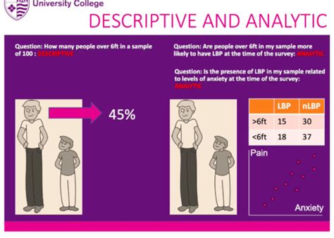 Cross Sectional Survey Css Flashcards Quizlet