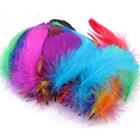 Plumas De Colores Surtidas Unidades Cuotas sin interés