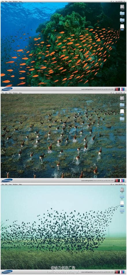 大容量u盘广告：庞大的数据迁移。画面很赞 高清图片，堆糖，美图壁纸兴趣社区