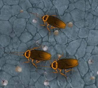 Wood Mite WoWWiki Your Guide To The World Of Warcraft