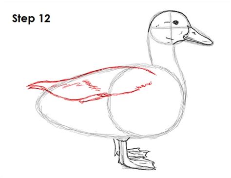 Stick Bird Drawing At Explore Collection Of Stick
