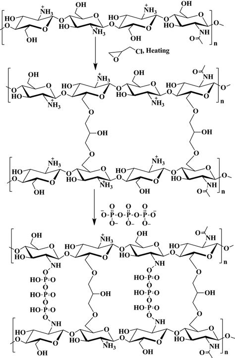 Cross Linking Of Chitosan With Ech And Tripolyphosphate Tpp