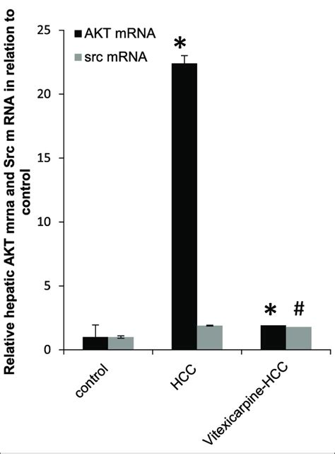 Relative Gene Expression Of Hepatic Akt Mrna And Src Mrna Hcc Rats