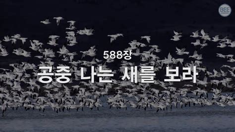 새찬송가 588장 공중 나는 새를 보라 Youtube