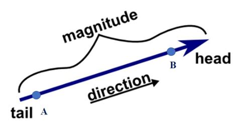 How Vectors Are Used In Machine Learning Shiksha Online