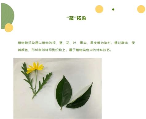 非遗进景区国家级非遗自贡扎染遇上奇妙的敲拓染我们一起敲敲留下春天的颜色