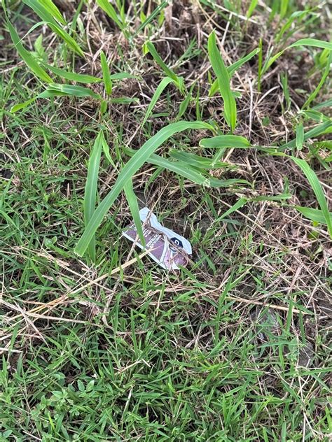 John Christopher Melchor