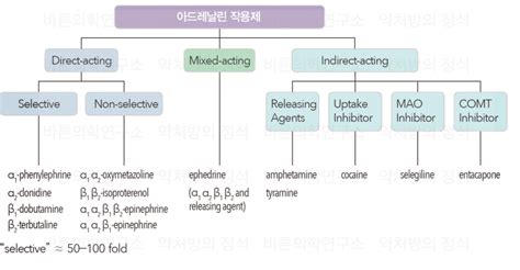 약처방의 정석 여러계통에 두루 사용되는 약물아드레날린 작용제 Catecholaminenoncatecholamines