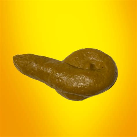 The Turd Fake Poo Joke Toys Australia Fast Shipping Mikes