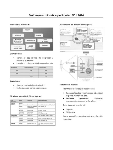 Tratamiento Micosis Superficiales Pdf Condiciones Cutáneas