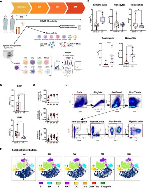 Covid 19 And The Innate Immune System Long Term Effects Immunopaedia