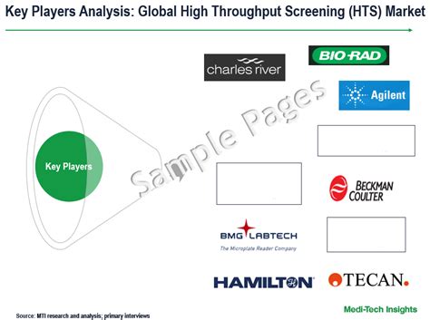 High Throughput Screening Market Is Projected To Reach ~85 By 2029