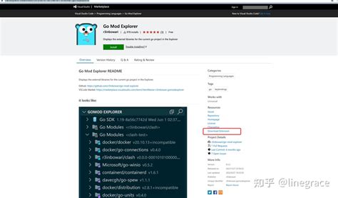Vscodecode Server 怎么看go依赖、go Mod的源码go语言推荐vscode插件 知乎