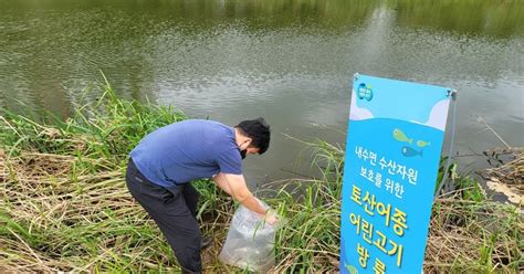 모기퇴치 경기 도심하천에 미꾸리 치어 4만 마리 방류