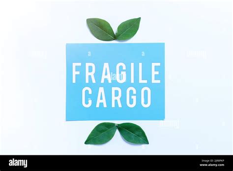 Conceptual Display Fragile Cargo Business Showcase Breakable Handle