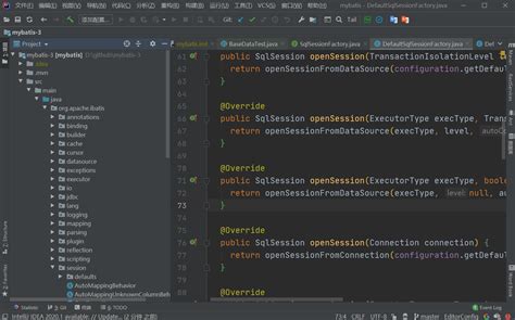 IDEA 正式版终于支持中文版和 JDK 直接下载了太方便了附介绍视频 磊哥 javacn site 博客园
