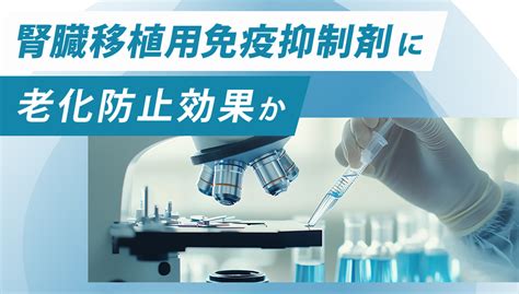 腎臓移植時の免疫抑制剤「ラパマイシン」で老化を予防出来る可能性｜あんしん通販コラム