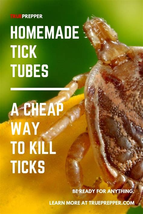Homemade Tick Tubes A Cheap Way To Kill Ticks Trueprepper